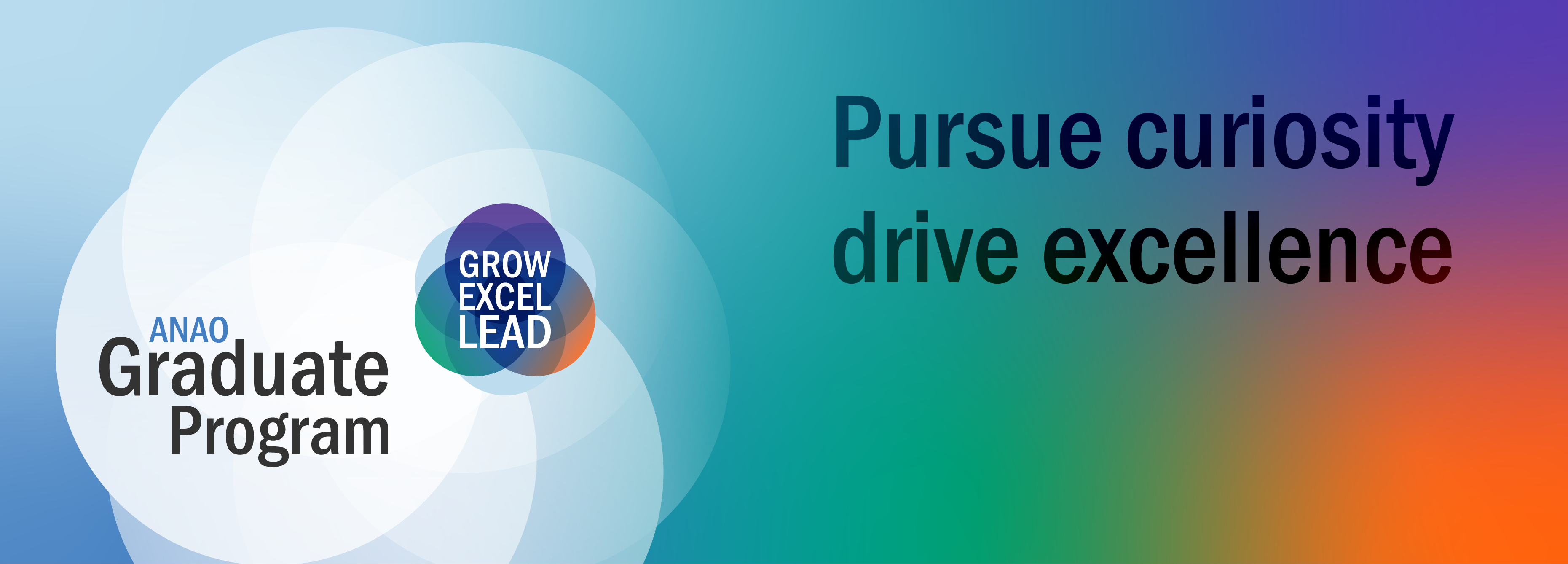 Data Analyst and IT Auditor Graduate Stream null